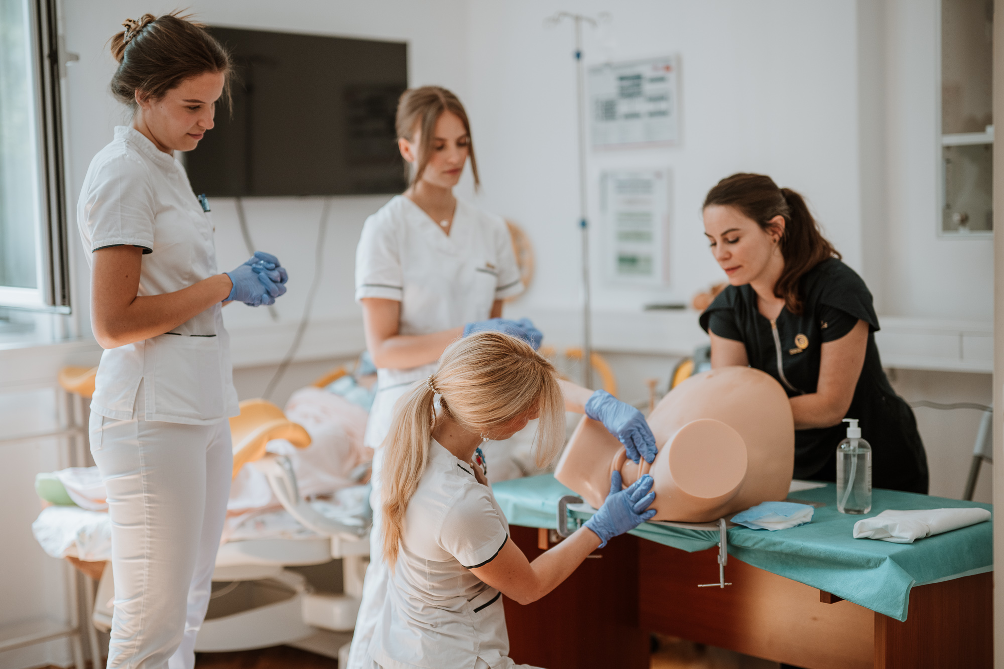 Professional Framework For Midwifery Implementation Guide International Confederation Of