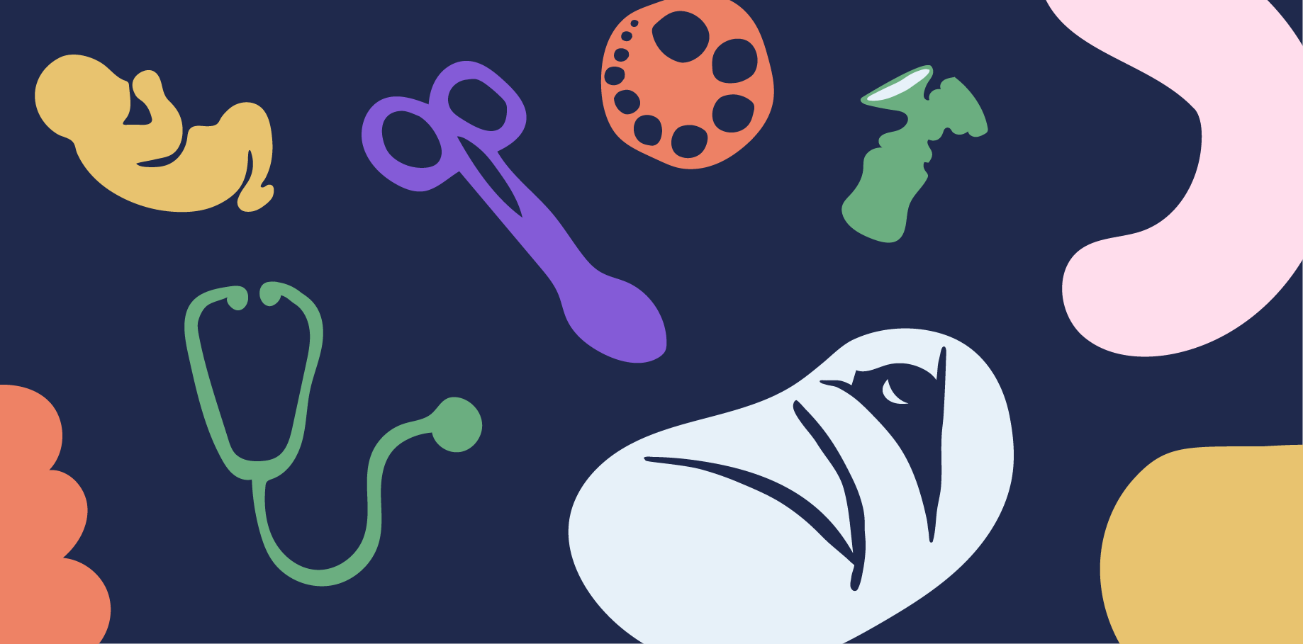 Female Genital Mutilation | International Confederation of Midwives